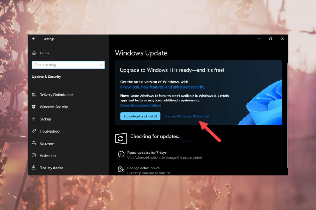 Does Updating to Windows 11 Fix Corrupted Files?