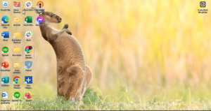 No Login Screen on Windows 10/11 : 8 Best Solution