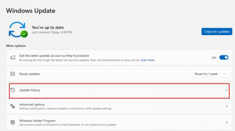 Windows 11 Update BitLocker Error : 8 Best Fixes