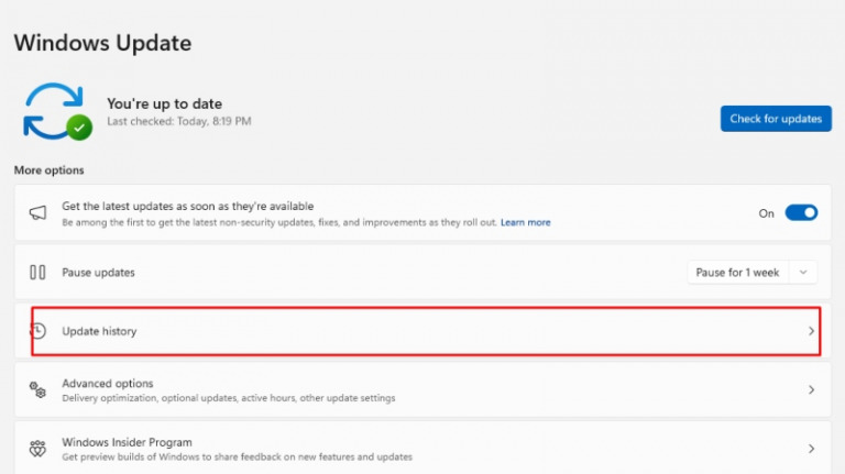 6 Best Solutions for Windows 11 Blue Screen Warning
