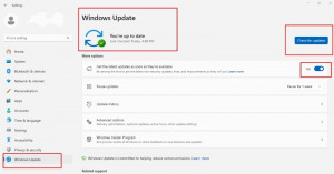 Risks of Outdated Software on Windows