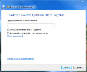 Encrypt sensitive files on Windows 11